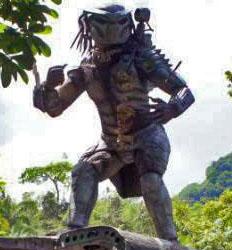 Canopy El Eden | Puerto Vallarta Zip Line | Canopy Tours Puerto Vallarta