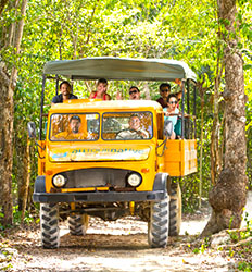 Tulum + Mayan Jungle Expedition